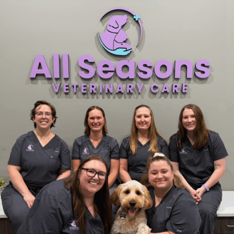 About All Seasons Veterinary Care Vet In Polk City, IA | All Seasons ...